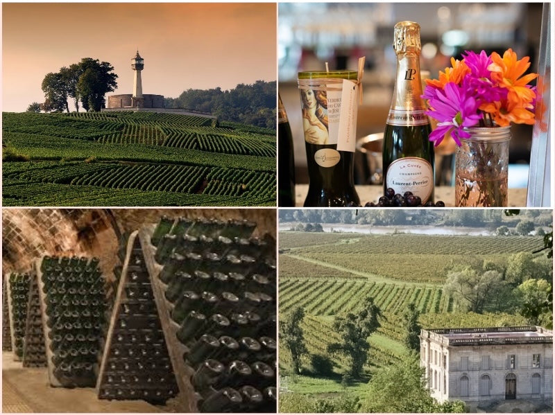 Champagne Class with Master Sommelier Michael McNeill – Vino Venue