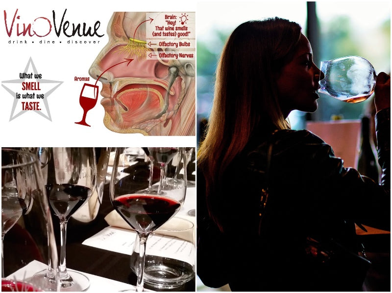 Fundamentals of Wine: Taste Like A Pro – Vino Venue
