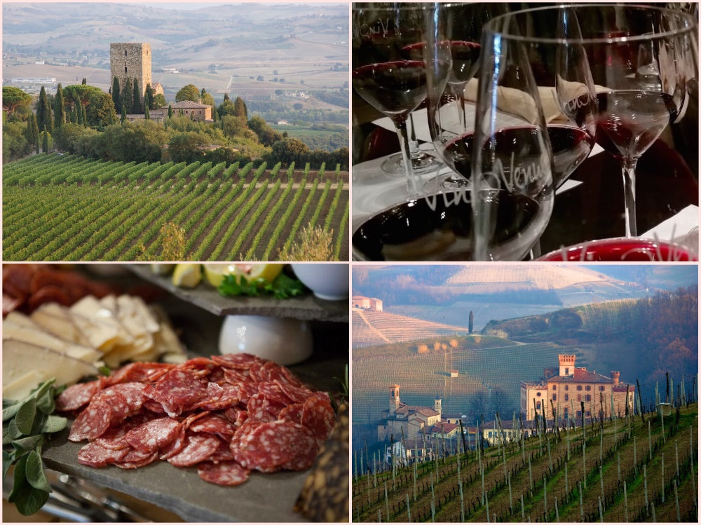 My Big Fat Italian Wine: Luxury Wines of Italy – Vino Venue