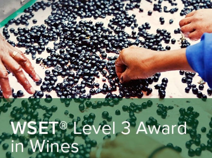 Wine & Spirit Education Trust: Level III, Award in Wines – Vino Venue